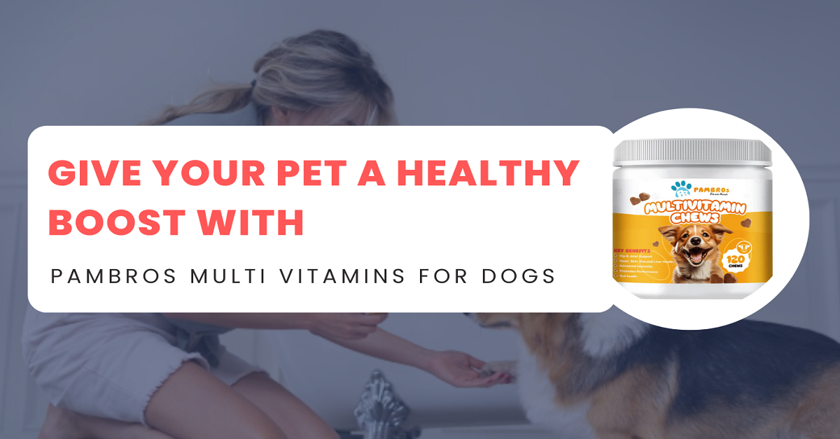 Multivitamin Chews for Dogs – Daily Health & Vitality – Pambros